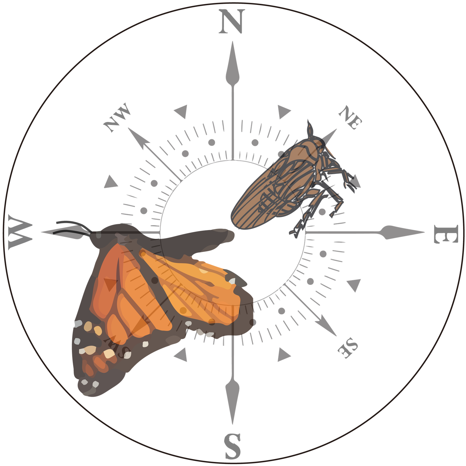 论文荐读：昆虫翅多型性的分子机制 Molecular Mechanisms of Wing Polymorphism in Insects ...